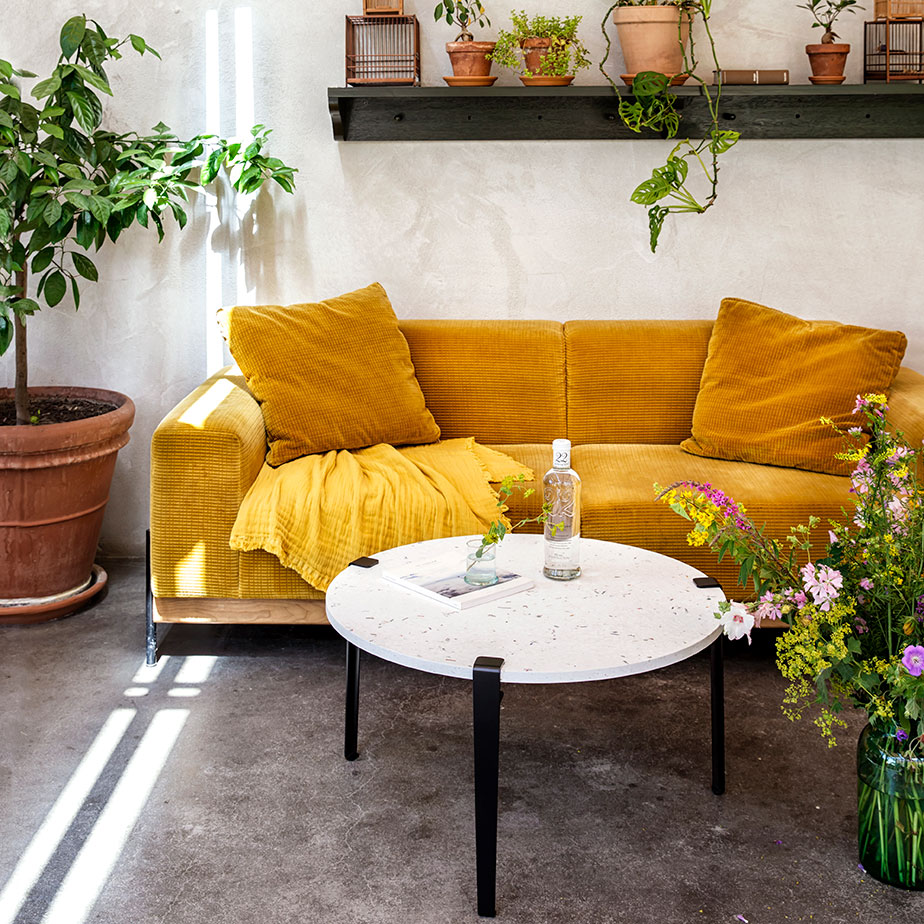 מותגים - Tollman's dot