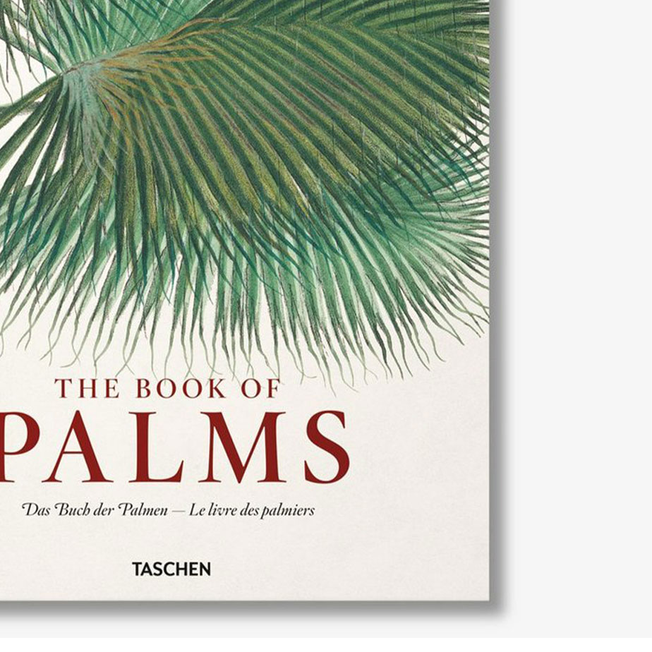 ספרים - Tollman's dot