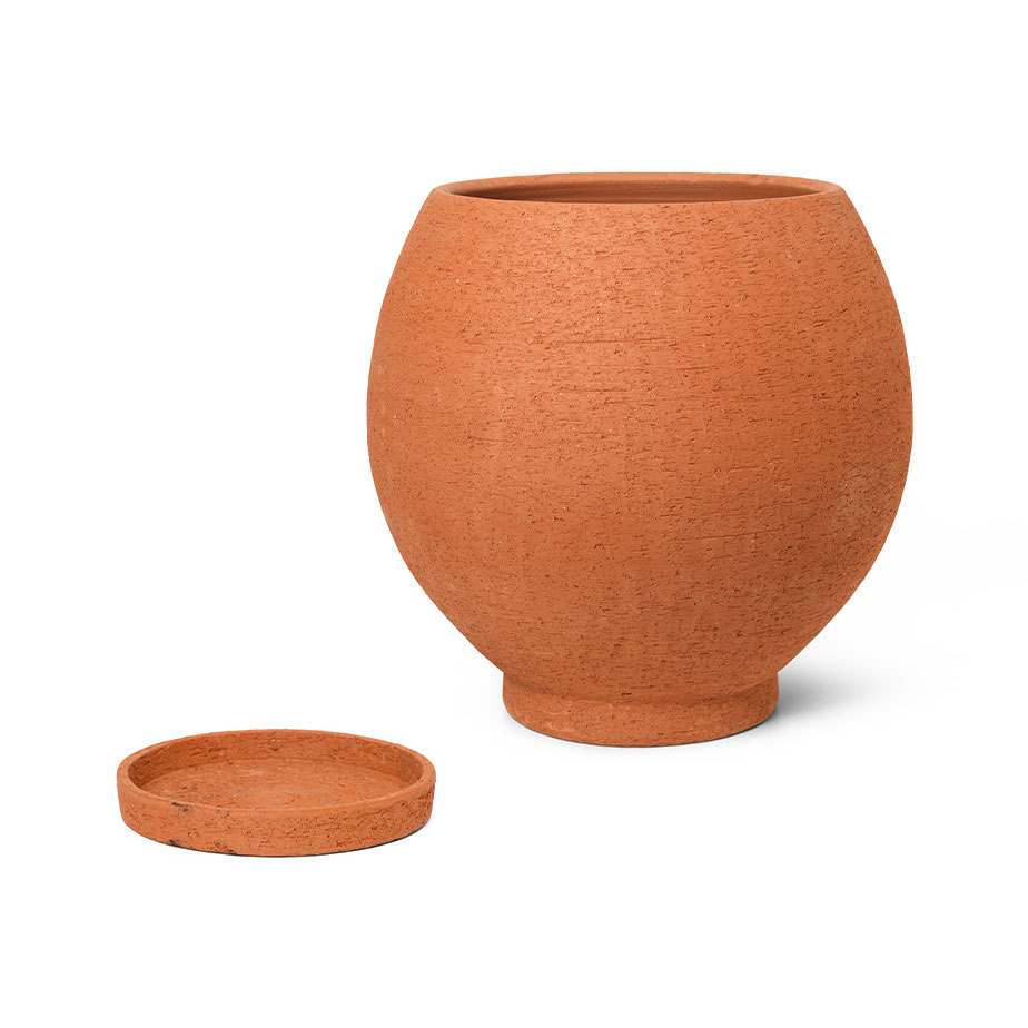 get nervous exit Sailor עציץ חרס גדול עלות concert Sophisticated unpleasant